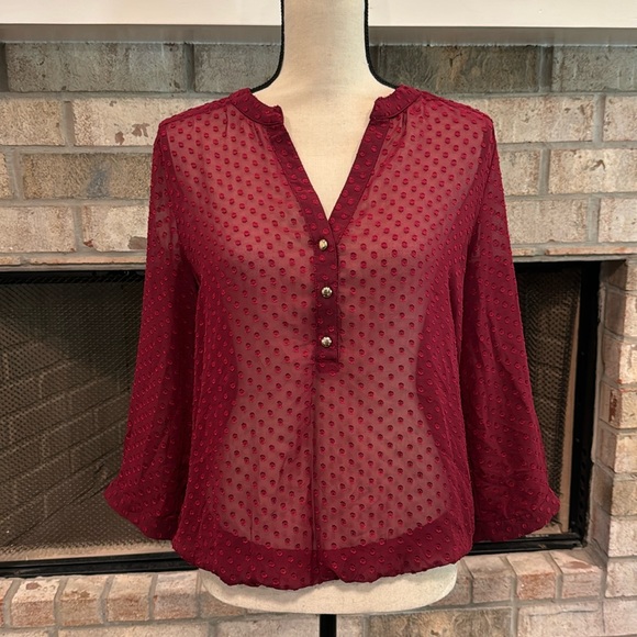 The Limited | Tops | Sheer Polka Dot Limited Top | Poshmark
